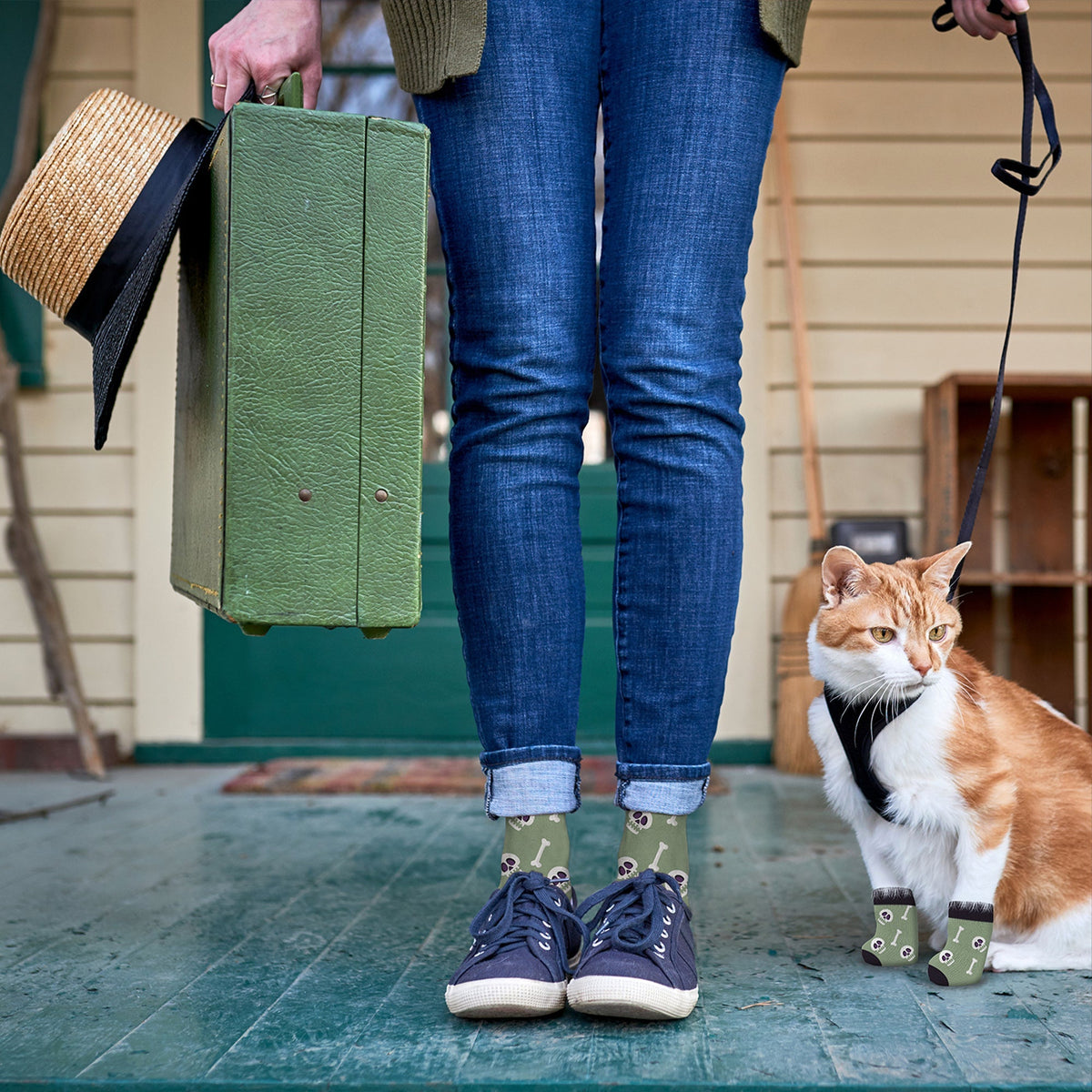 Tagco Pet & Owner Socks - Light Bulb: Matching Sock Sets – D & D ...